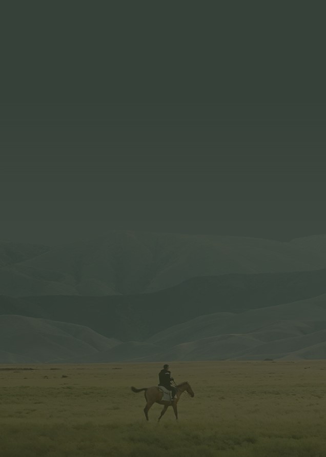 ULY DALA PARK — современный жилой квартал с собственным парком на первой линии проспекта Улы Дала